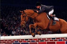 News & Events - Heated Horse Rug Dryers by Centaur