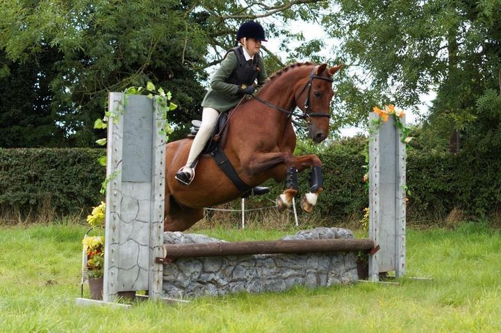 All About You - Adam Russell - Heated Horse Rug Dryers by Centaur