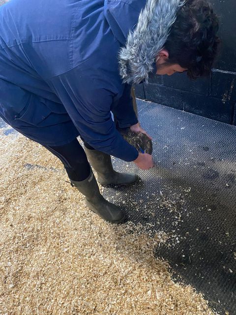 Top Tips for Keeping Your Horse Healthy - Heated Horse Rug Dryers by ...