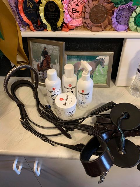 Top Tips for Keeping Your Horse Healthy - Heated Horse Rug Dryers by ...